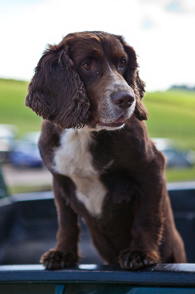 SJdB Shooting Championships @ martinbond.com